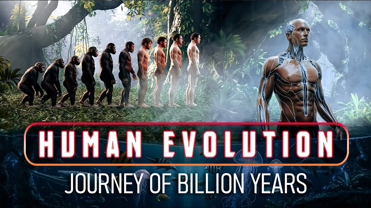 HUMAN EVOLUTION | A Journey of Billion Years from Single Molecule to ...