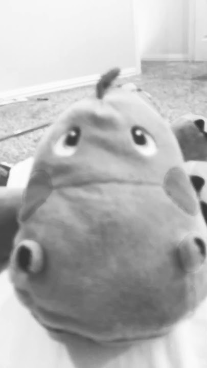 Lizard Youtube