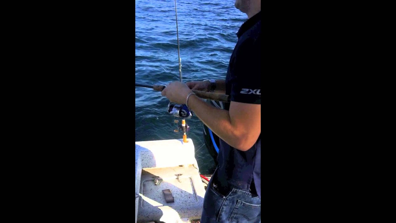plastic bashing for snapper Caloundra Fishing World. - YouTube