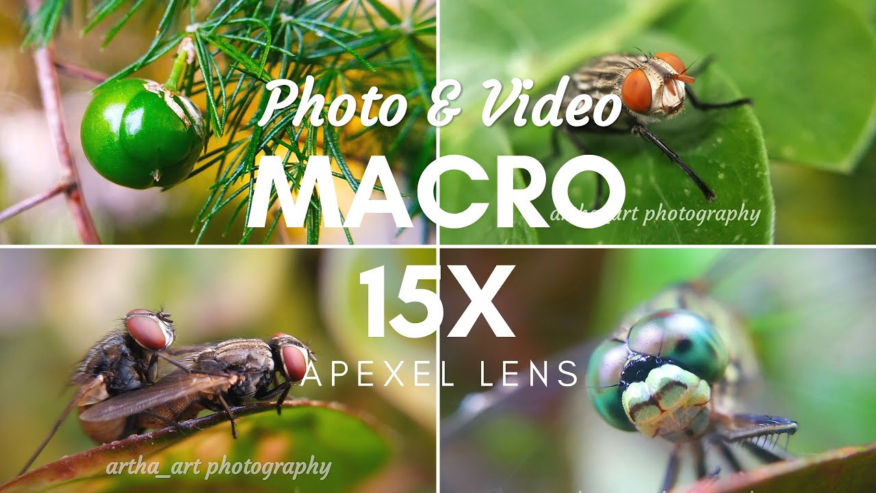 Macro 15x | Apexel Lens for Smartphone on Xiaomi - YouTube