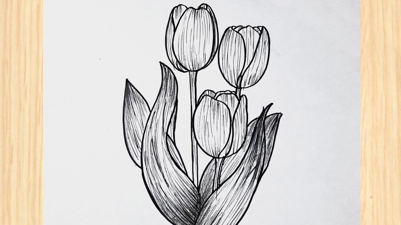 How to draw flowers easy || Flower drawing tutorial for beginners - YouTube