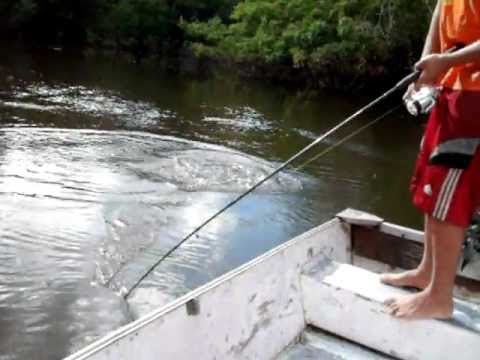 pescando un pavon apure . guachara - YouTube