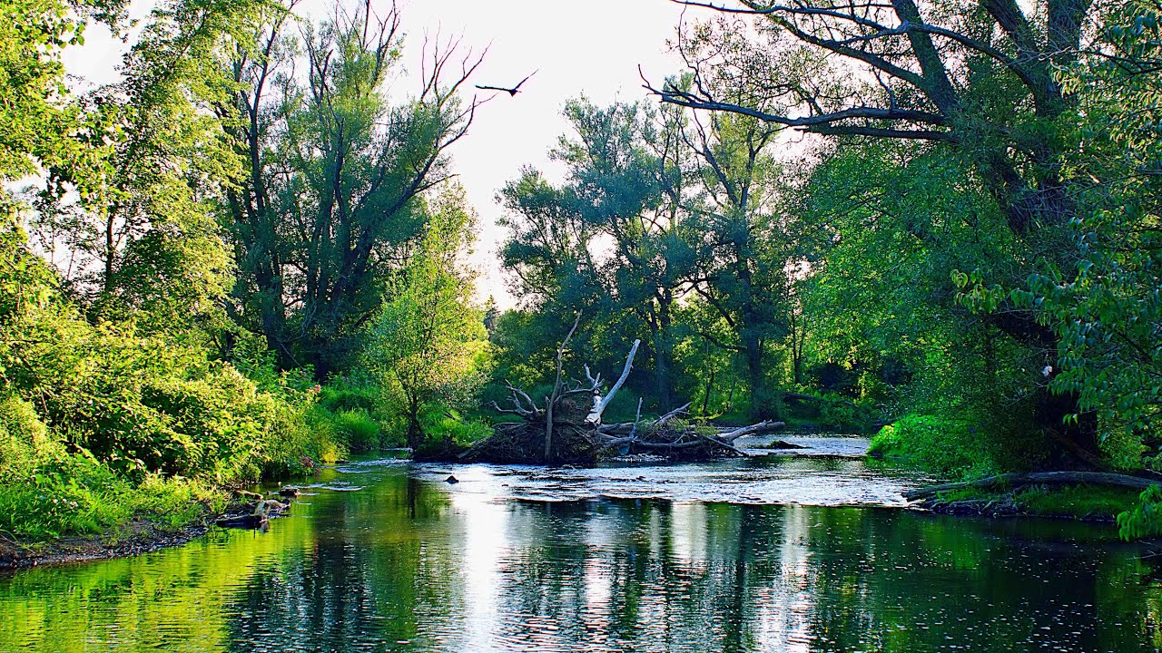 Amherst State Park, Williamsville, New York USA - YouTube