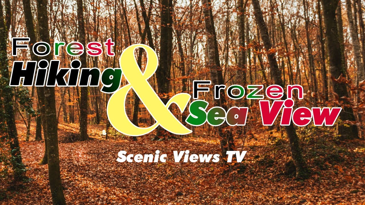 Scenic Views of Hiking in the Autumn Forest and Frozen Sea View with ...