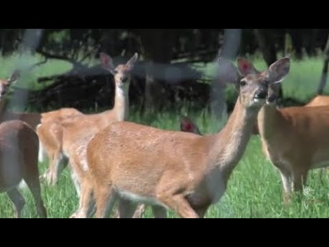 ConQuest 200. Season 2. Episode 4. - YouTube