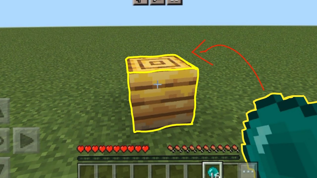 WHAT'S INSIDE THE BEE HIVE |MINECRAFT - YouTube