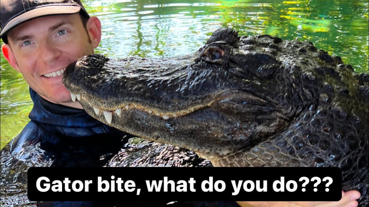 Gator Bite, what do you do?!? - YouTube
