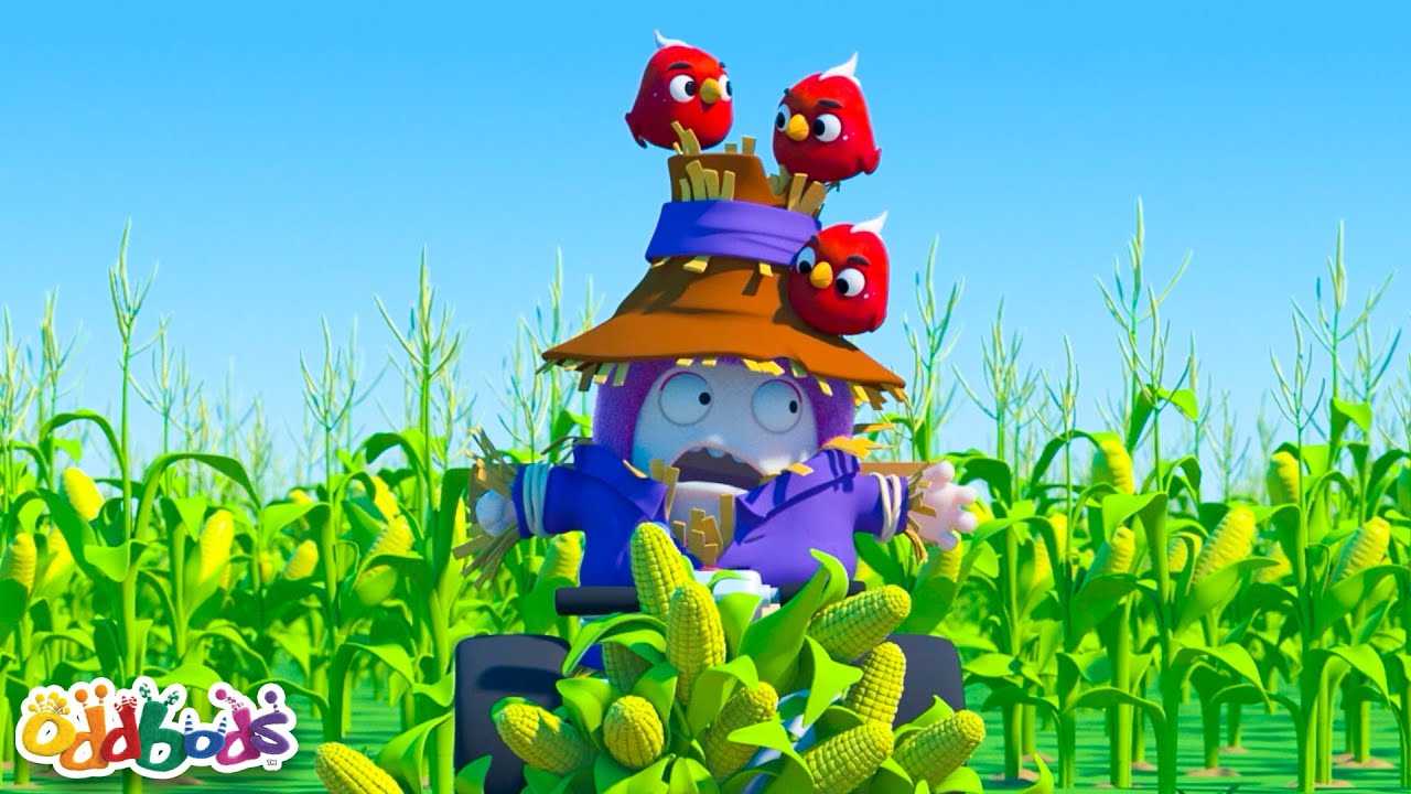 Birds vs Scarecrow | Oddbods Full Episodes - YouTube