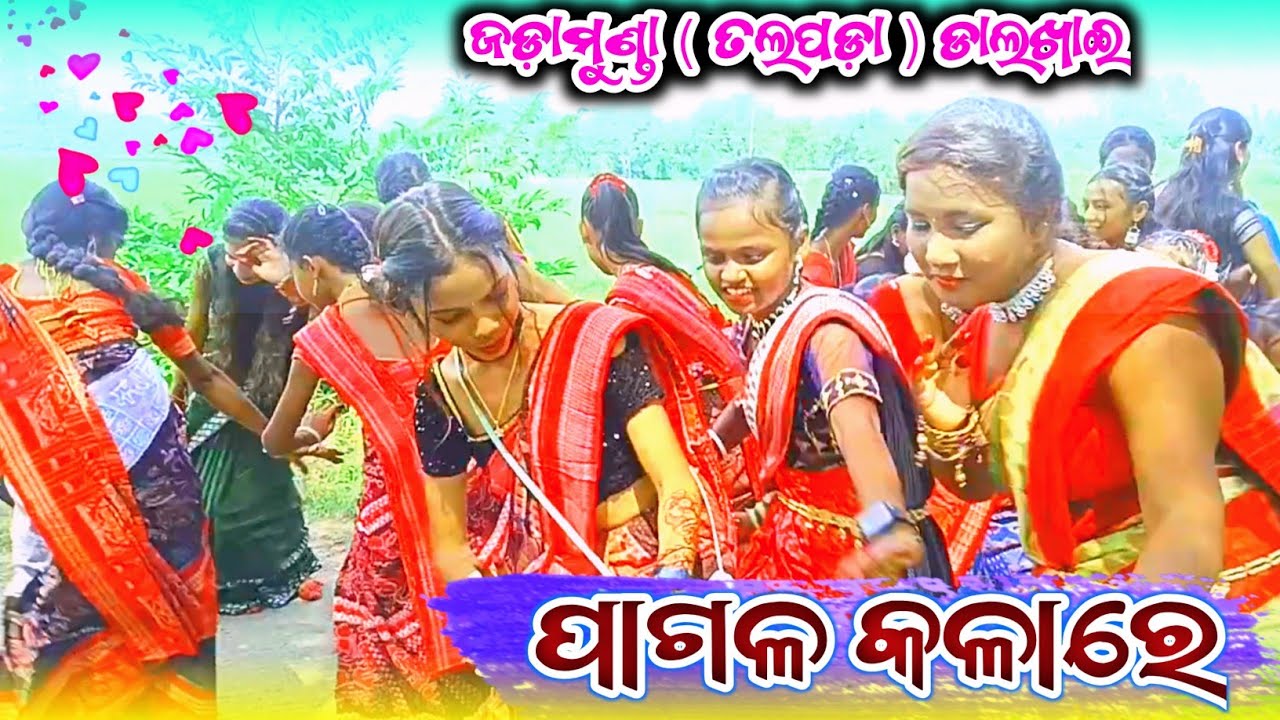 Sambalpuri Dalkhai Jadamunda 🌹jadamunda Dalkhai dance vedio🌿# ...