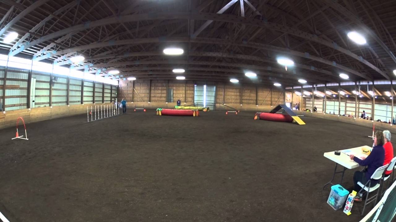 nadac-agility-trial-saturday-april-23-2016-youtube