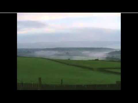 Ray Stevens - Misty - YouTube