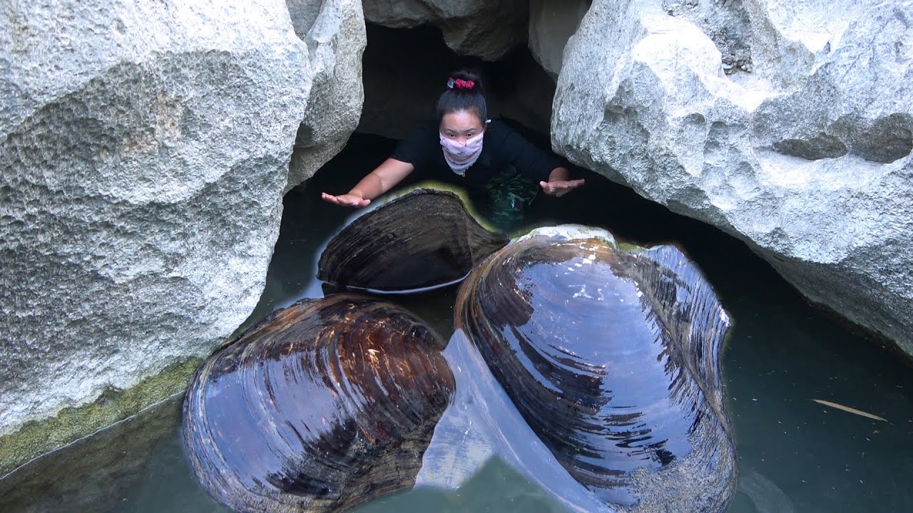 🔥🔥🔥Giant pearl clams crawled out of the cave, containing countless ...