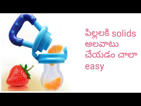How to introduce solids for your baby#Fruit feeder pacifier#VaniDiaries#
