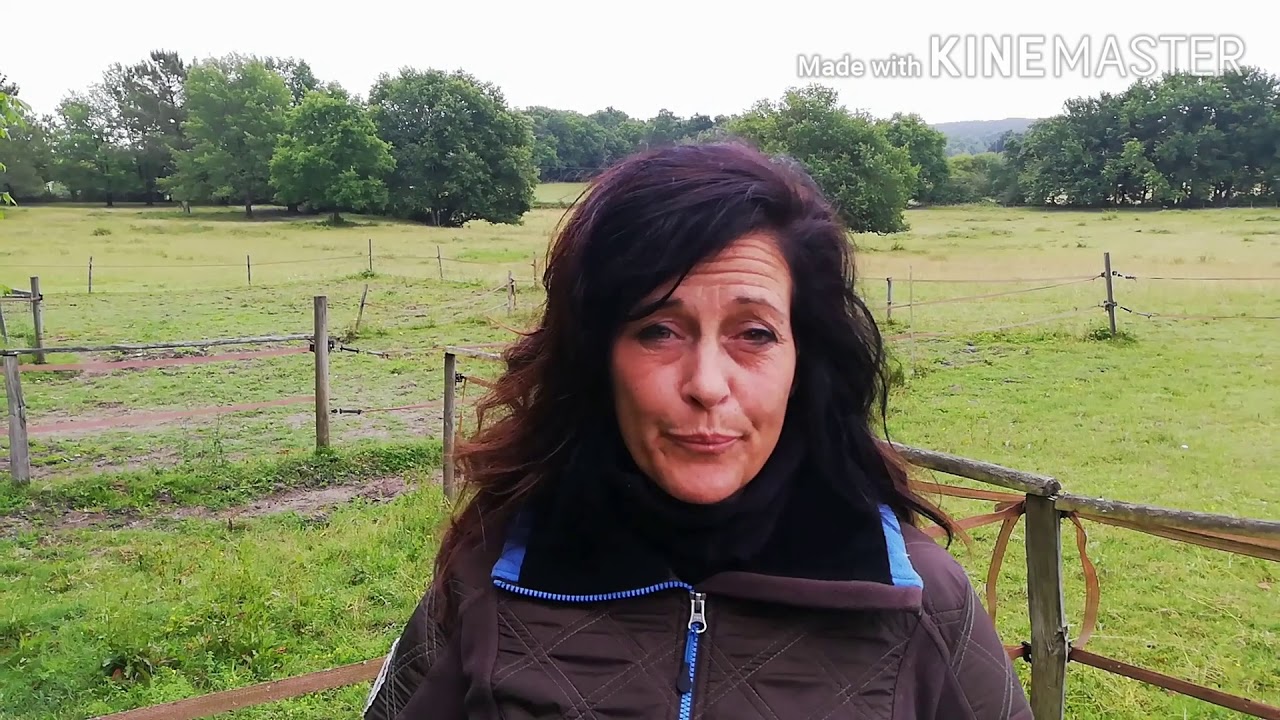 Lisa Stedman - YouTube