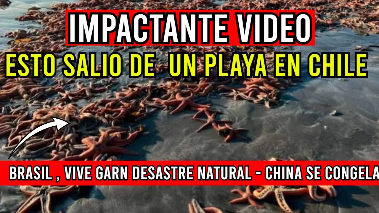 🔴MIRA LO QUE SALIO DEL MAR EN CHILE, Y EN BRASIL EL PEOR DESATRE ...