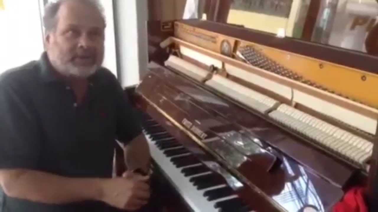 Marcos Ariel comenta sobre o piano FD-126 da Fritz Dobbert - YouTube