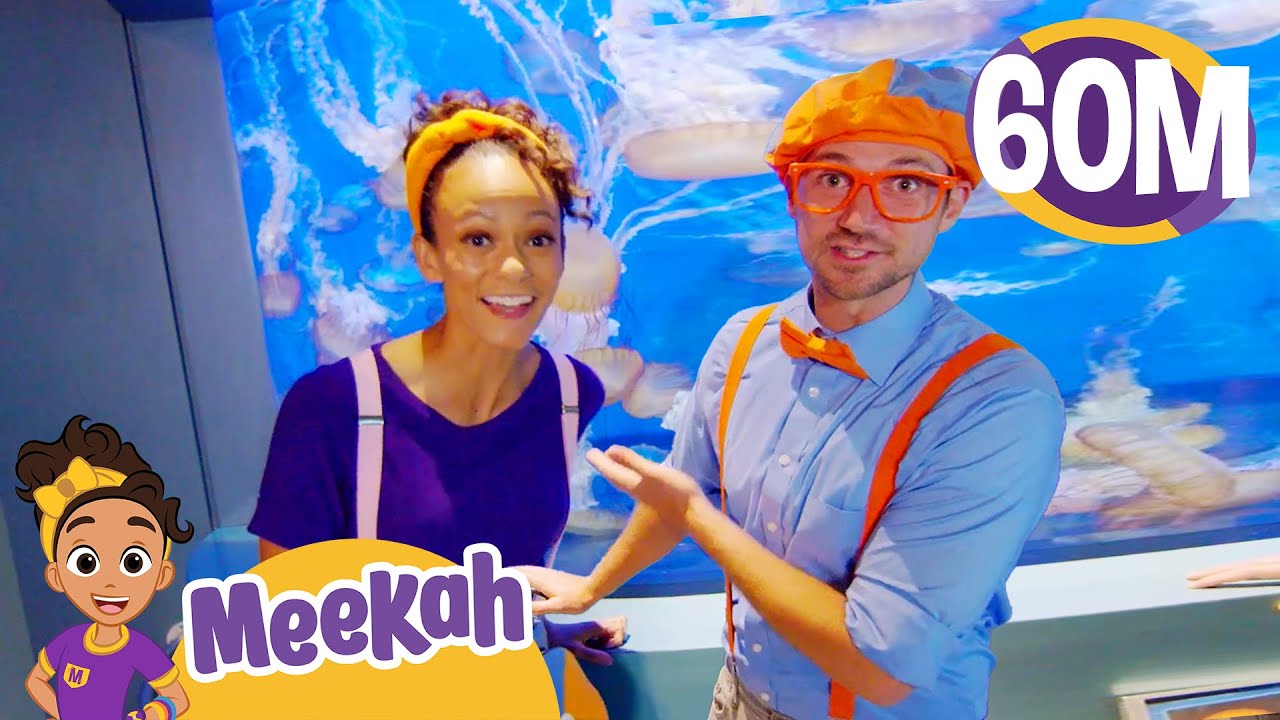 Meekah and Blippi - Aquarium Adventure! Educational Videos for Kids ...
