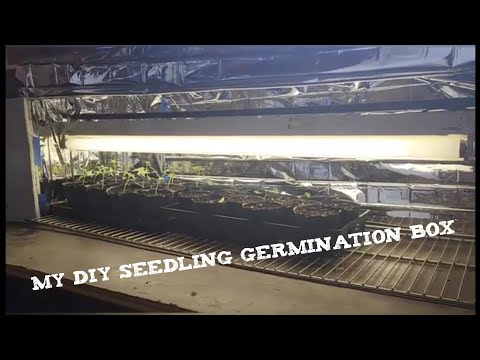 How I built my DIY seedling grow box build. - YouTube