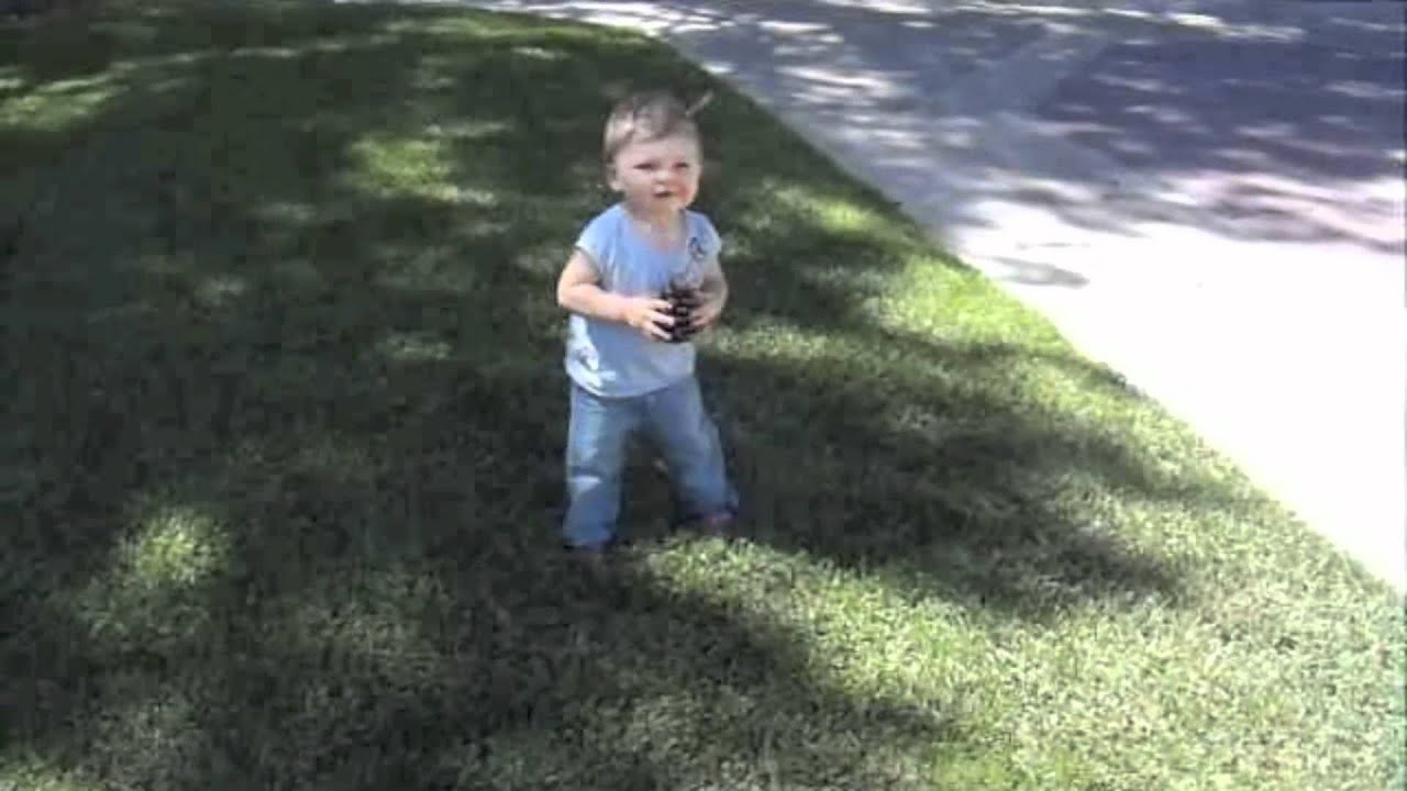 The Pine Cone Of Destiny - Home video - funny baby trailer - YouTube