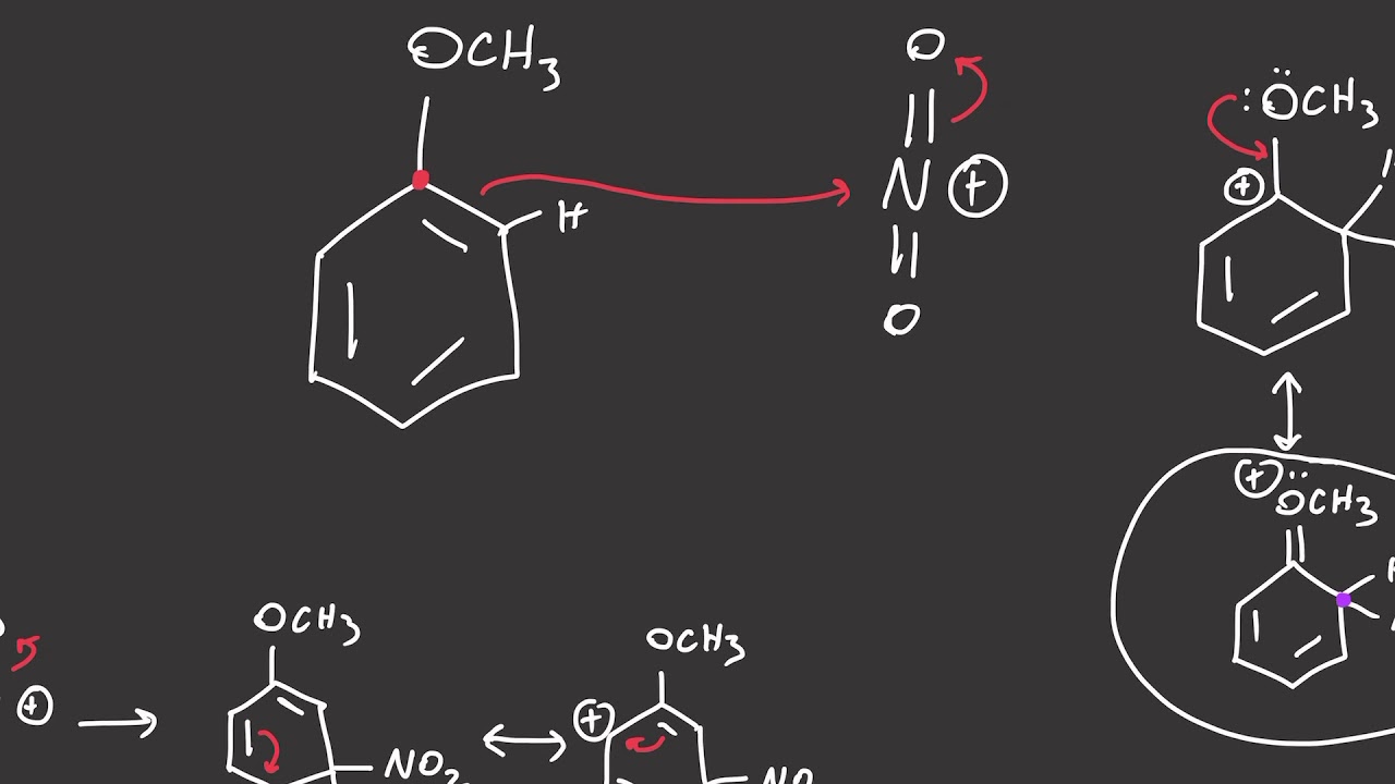 Electrophilic Aromatic Substitution 4: Directing Groups - YouTube