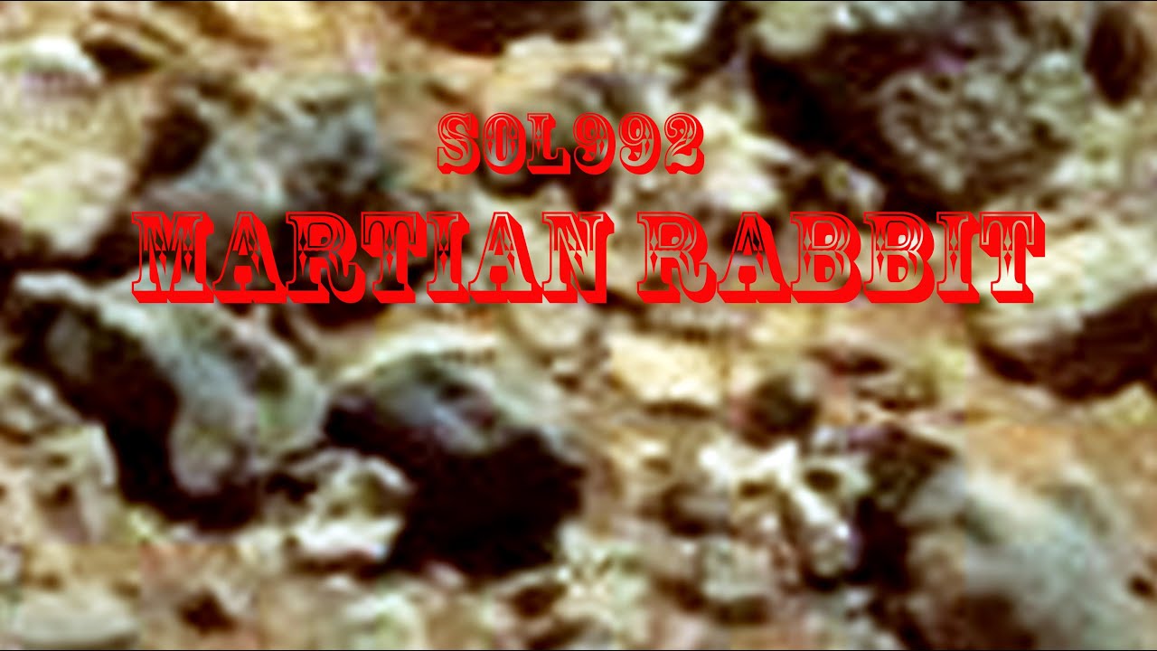 Why ? Martian Animal Found In Mars Image - YouTube