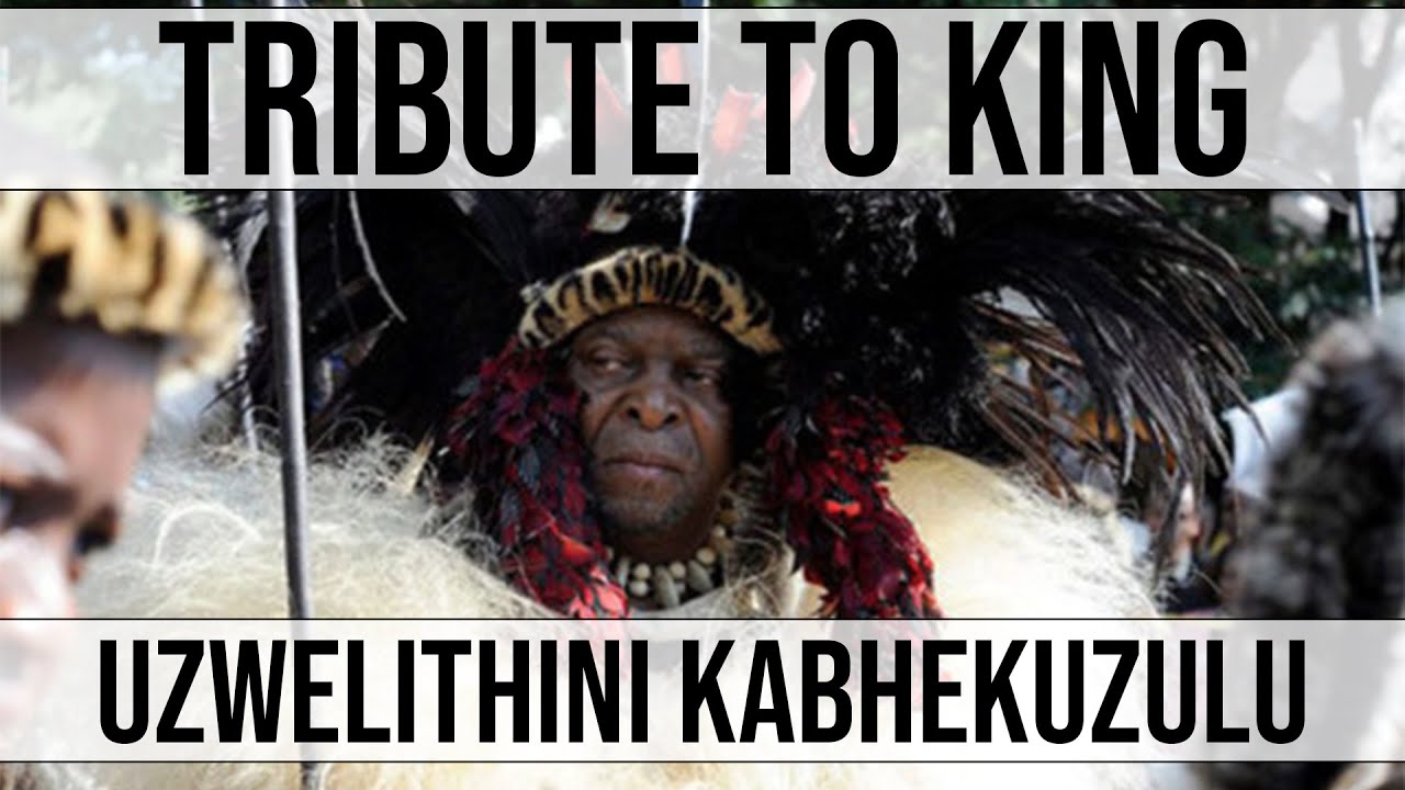 Tribute to Isilo uZwelithini kaBhekuzulu - YouTube