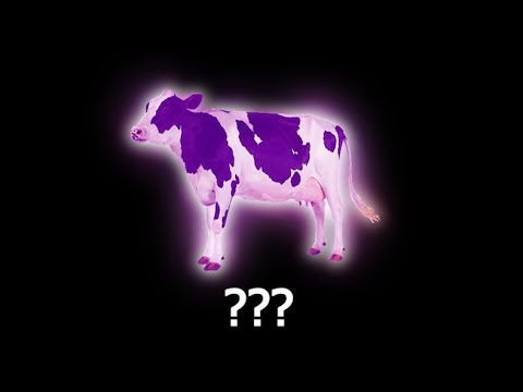 16 Cow \