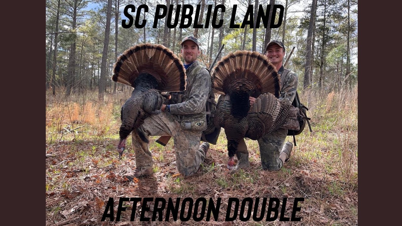 2022 SC Public Land Turkey Hunting (DOUBLED UP- AFTERNOON TOMS) - YouTube