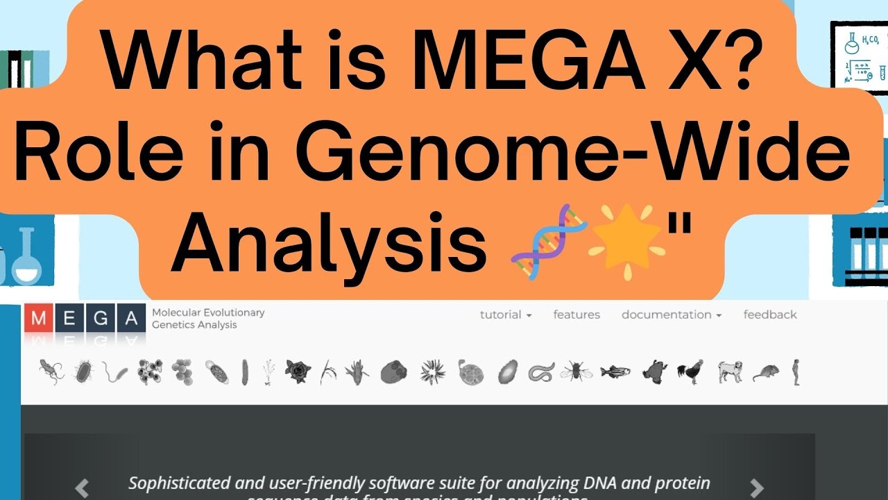 What is MEGA X? Role in Genome-Wide Analysis 🧬🌟" - YouTube