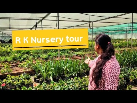 R K Nursery Raigarh tour...... This is Amazing place 💫💫💫 # Raigarh Best ...