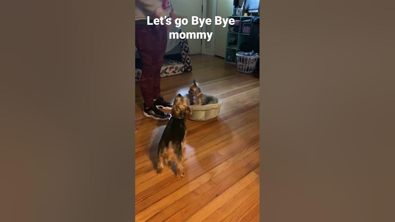 The Secret Behind Time to Go Bye Bye Mommy - YouTube
