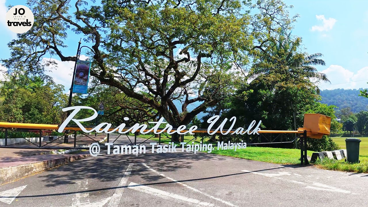 Raintree Walk Taiping Evening JAN 2026 - YouTube