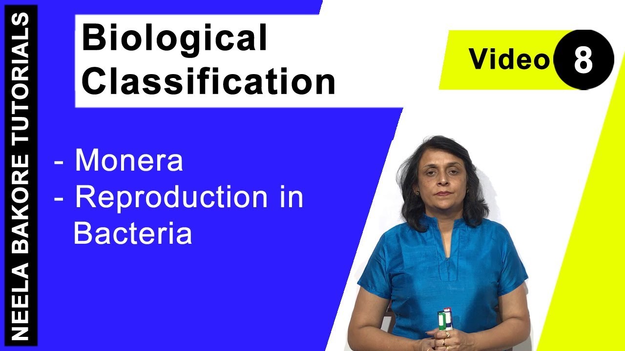 Biological Classification | NEET | Monera - Reproduction in Bacteria ...