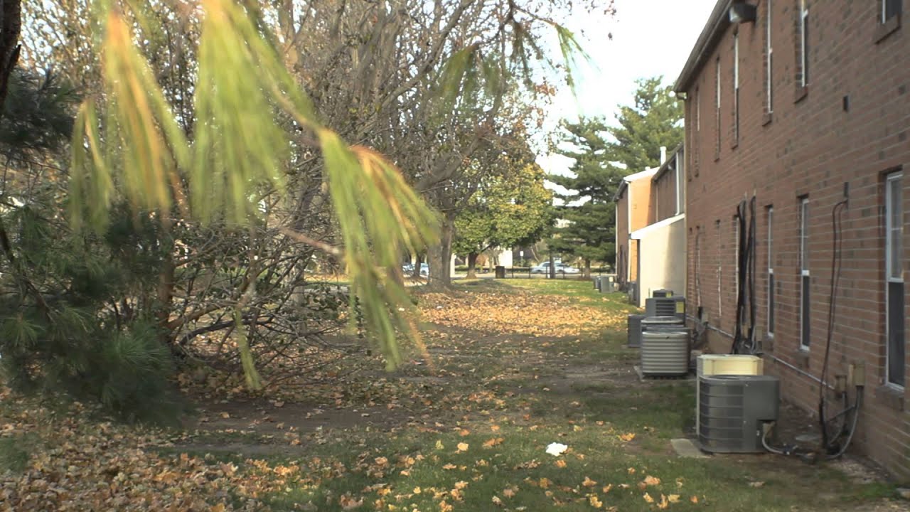 Suntar 35mm f2 8 bokeh test - YouTube