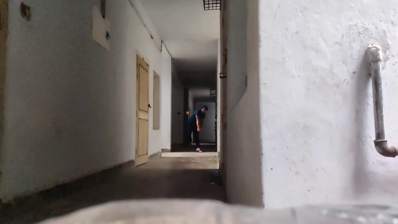 Cricket hobbies - YouTube