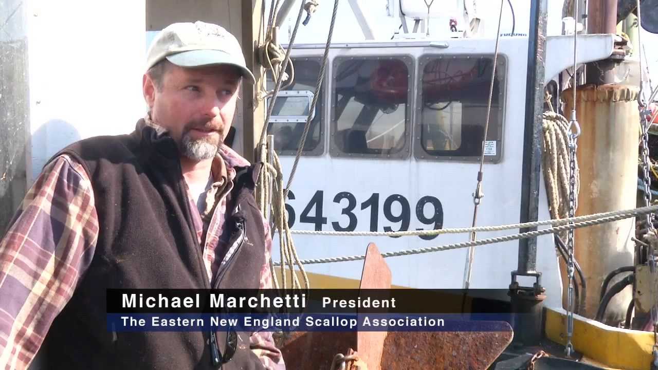 Michael Marchetti, President, The Eastern New England Scallop ...