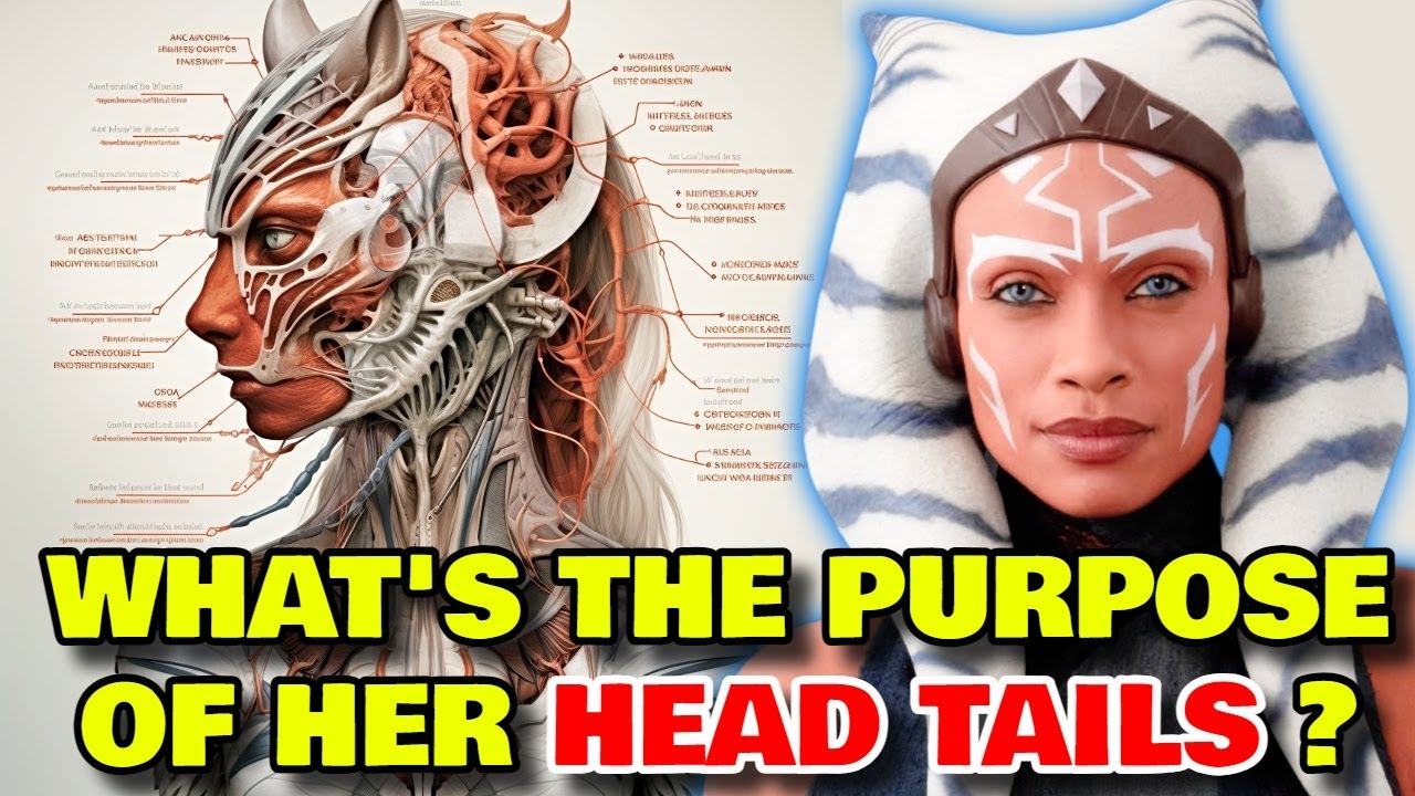 Ahsoka Anatomy Explored What Is The Purpose Of Her Head Tails Can