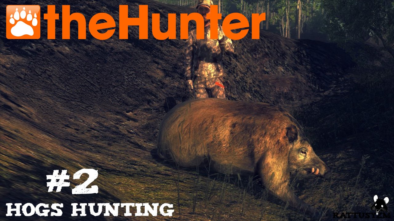 theHunter #2 - Loggers Point : Feral Hog Hunting - YouTube