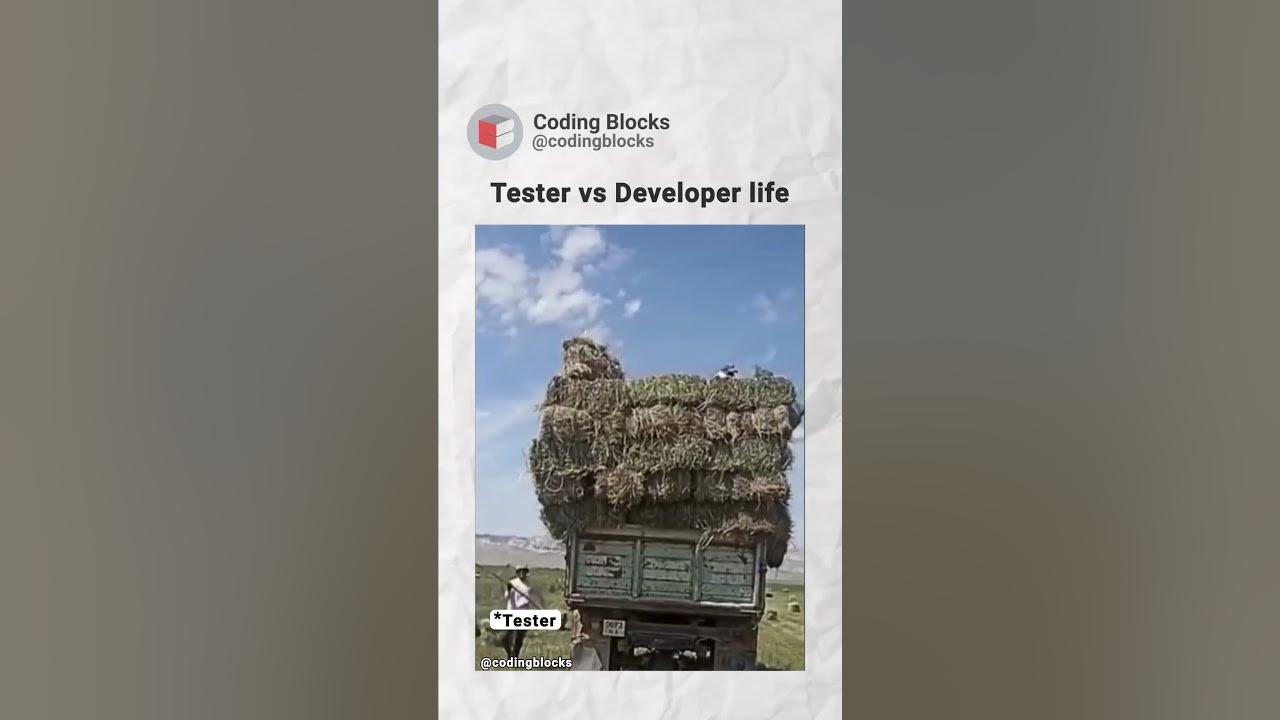 Tester Vs Developer Which One Are You Coding Blocks Code Codingblocks Youtube