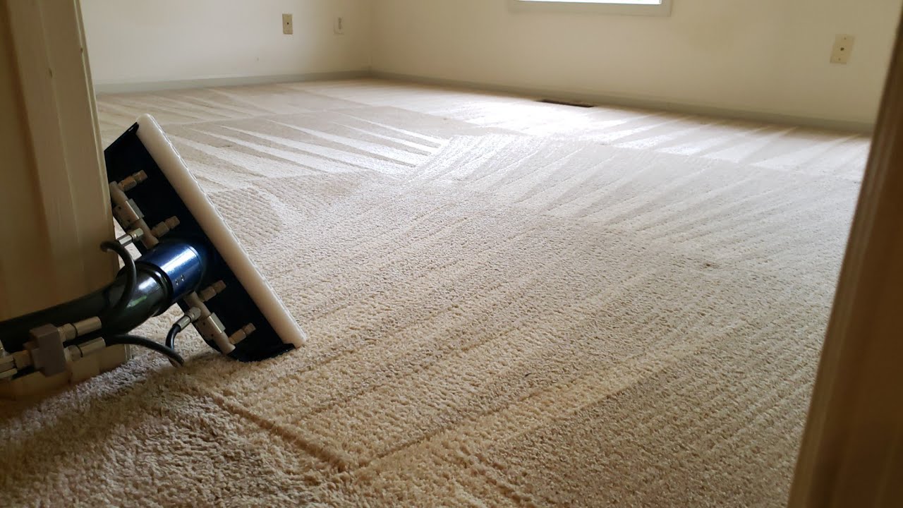 Incredible carpet lines | Dirty Carpet cleaning| Episode 435 - YouTube