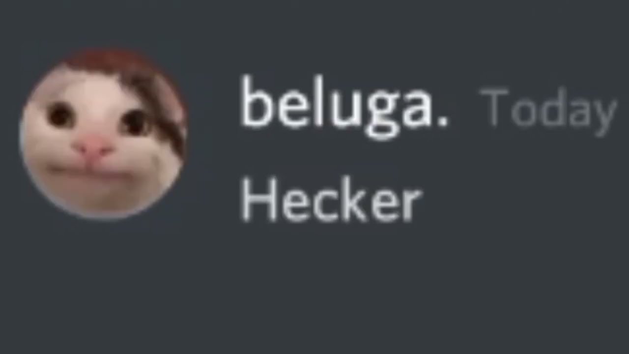 BELUGA. VS HECKER. - YouTube