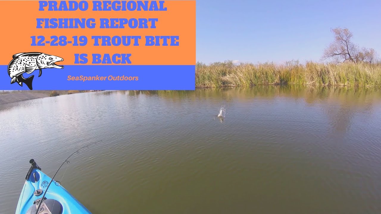Prado Regional Park Fishing Report 12-28-19 - YouTube