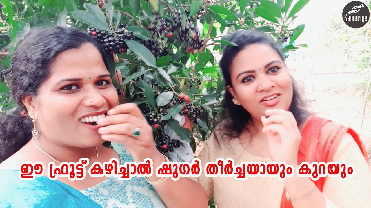 Organic Agriculture Farming in Kerala - ജൈവ കൃഷിയുടെ പുത്തൻ ആശയങ്ങ ...