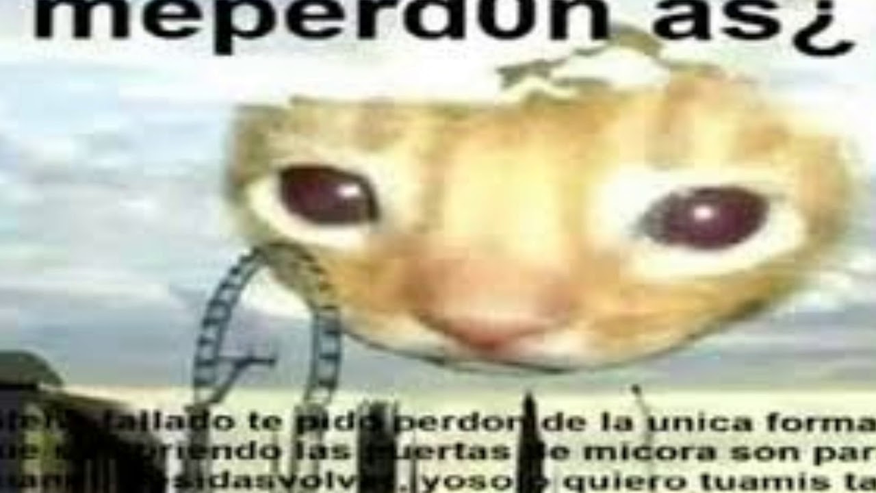 ¿Me perdonas? meme - YouTube