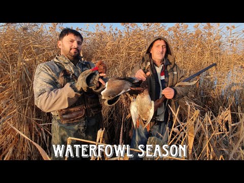 Ördək ovu mövsümü.Dumanlı hava.Dekabr 2021 Yanvar 2023