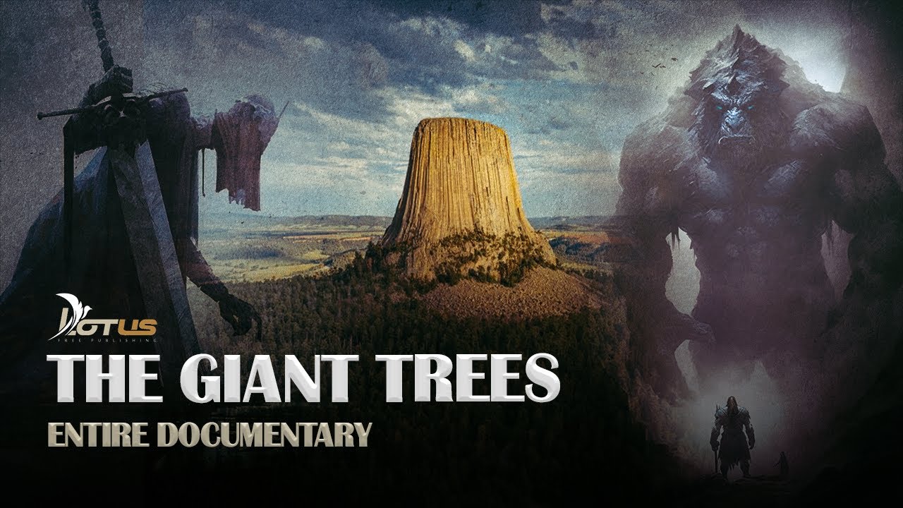 The Giant Trees of the Past - Entire Documentary - YouTube