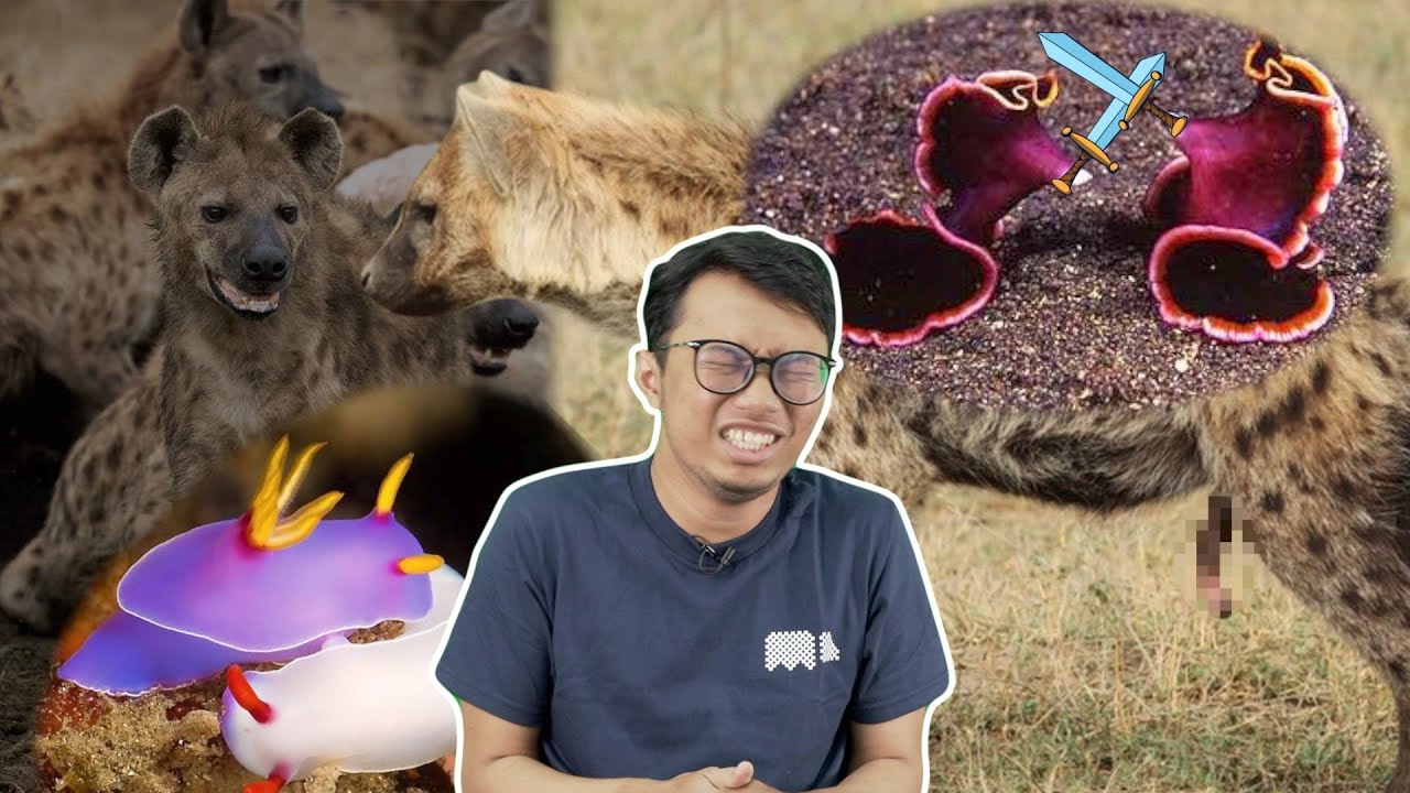 2 Haiwan yang Mengawan Pelik - YouTube