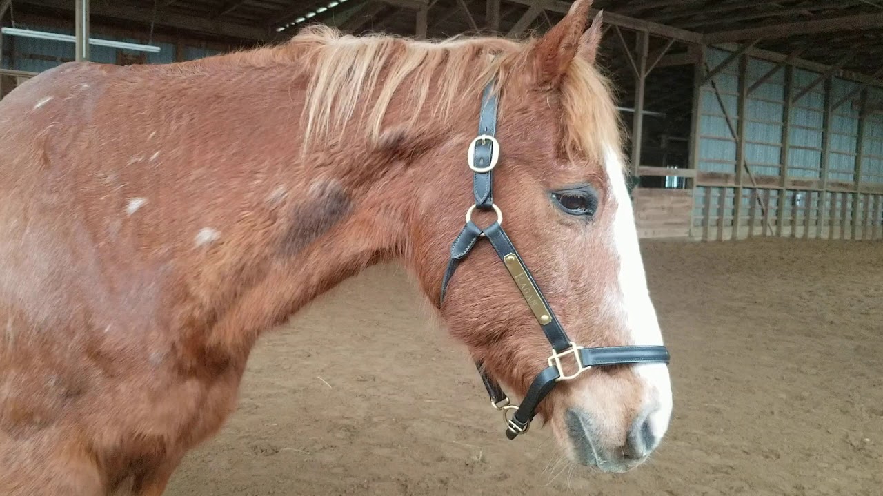 Ragan's exercise 2 - YouTube