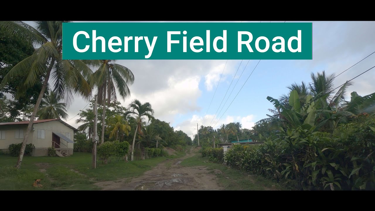 Cherry Field Road, Tremolesworth District, St Mary, Jamaica - YouTube