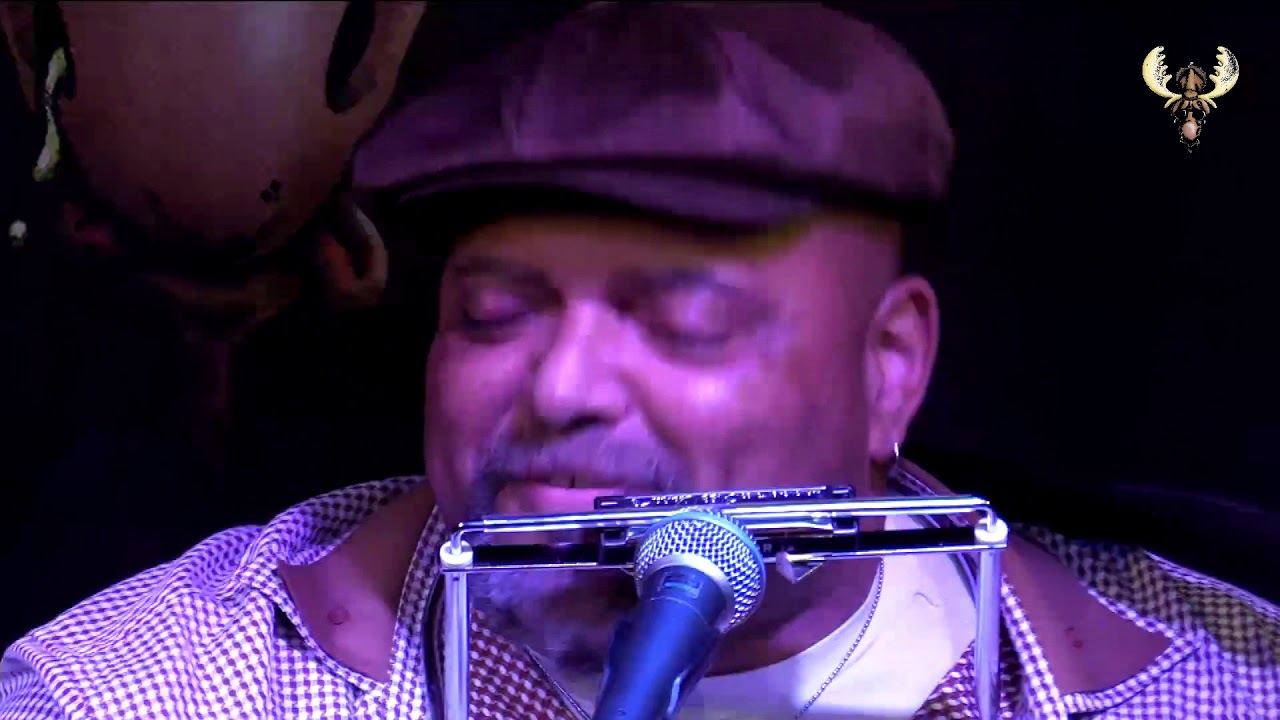 Kevin Burt - Day Day - Live for bluesmoose radio - YouTube